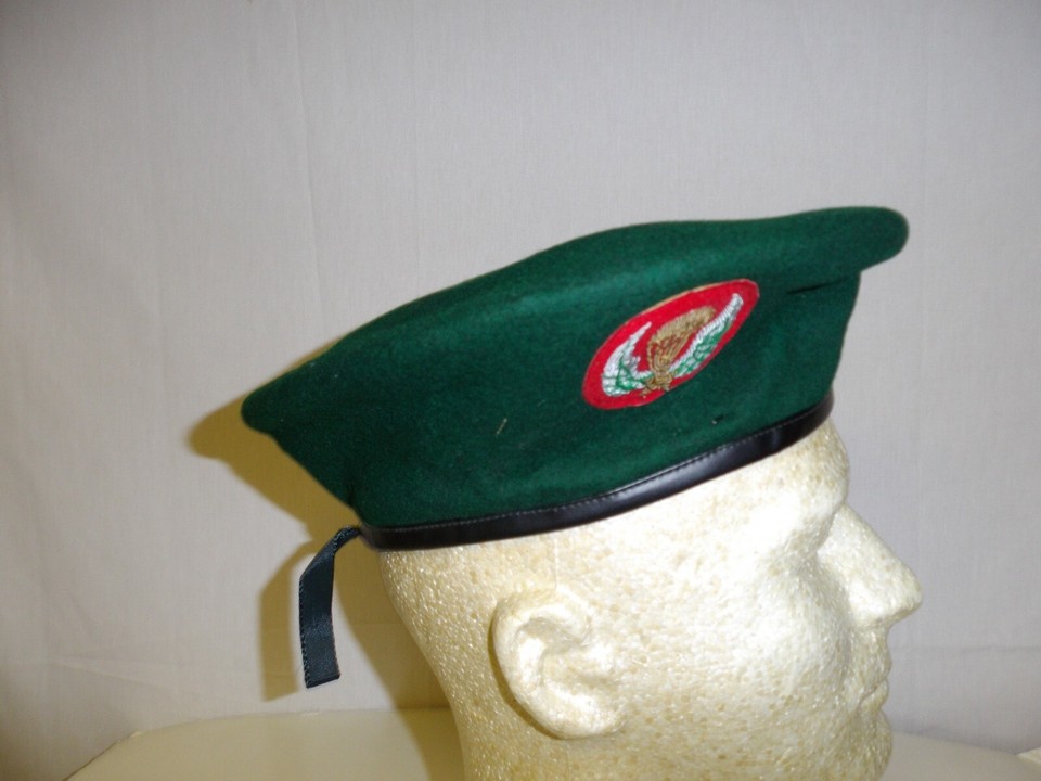R25C-113 Vietnam RVN Beret SF Special Forces Green Size 56 LLDB R25C | eBay