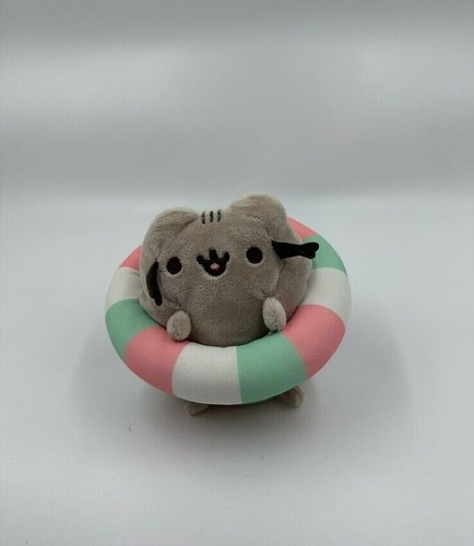 NEW RARE EXCLUSIVE BOX DROP - Pusheen Pool Floatie Float Plushie Plush ...