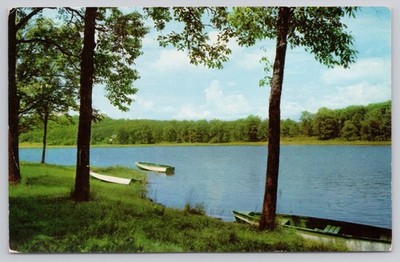 Canoe & Row Boats on Lake Benedict Minnesota MN 1959 Postcard | eBay