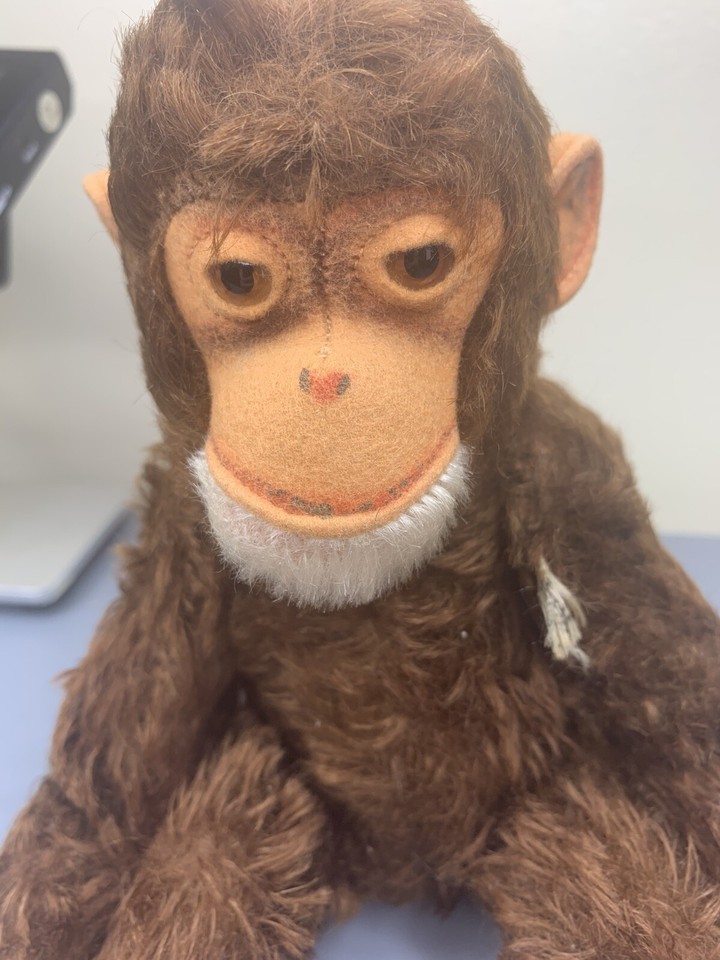 1960s Steiff Jocko Jointed Chimpanzee Mohair Stitched Limbs With Metal ...