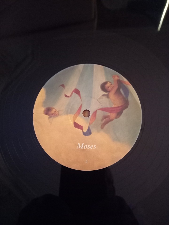 Moses by Elizabeth Fraser (Record, 2009) | eBay UK