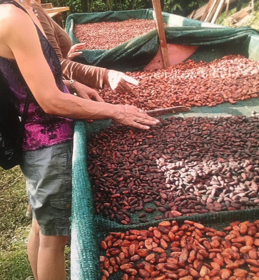 Unroasted Costa Rican Cacao / Cocoa Beans | eBay
