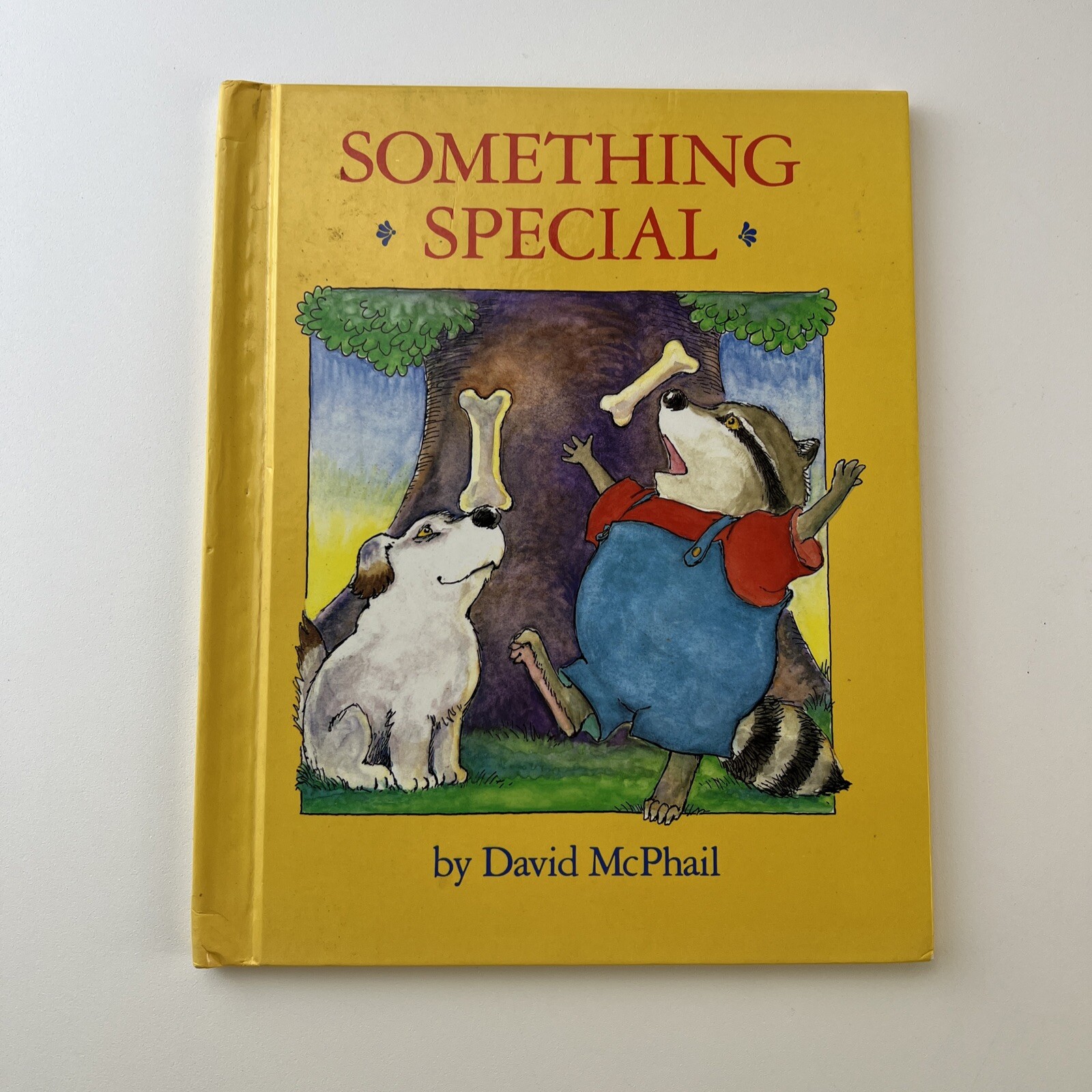 Something Special by David McPhail (1988, Hardcover) 9780316563246 | eBay