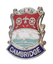 Cambridge Crest Small Pin Badge | eBay