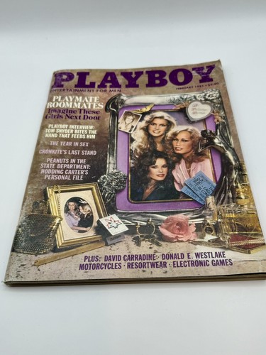Vintage Playboy Feb 1981 Terri Welles, Candy Loving & Sondra Theodore ...