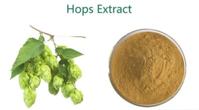 Hops Strobile Powder 20:1 Humulus Lupulus Hops Flavone Xant（500g） | eBay