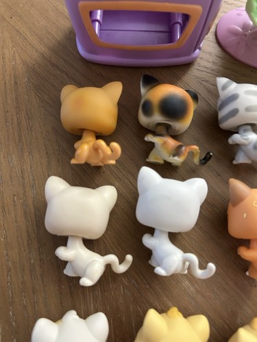 Littlest Pet Shop LPS Kitten Shorthair Cats #11 27 32 74 98 456 539 547 ...