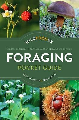 Foraging Pocket Guide: Food for all seasons from Britain's woods ...