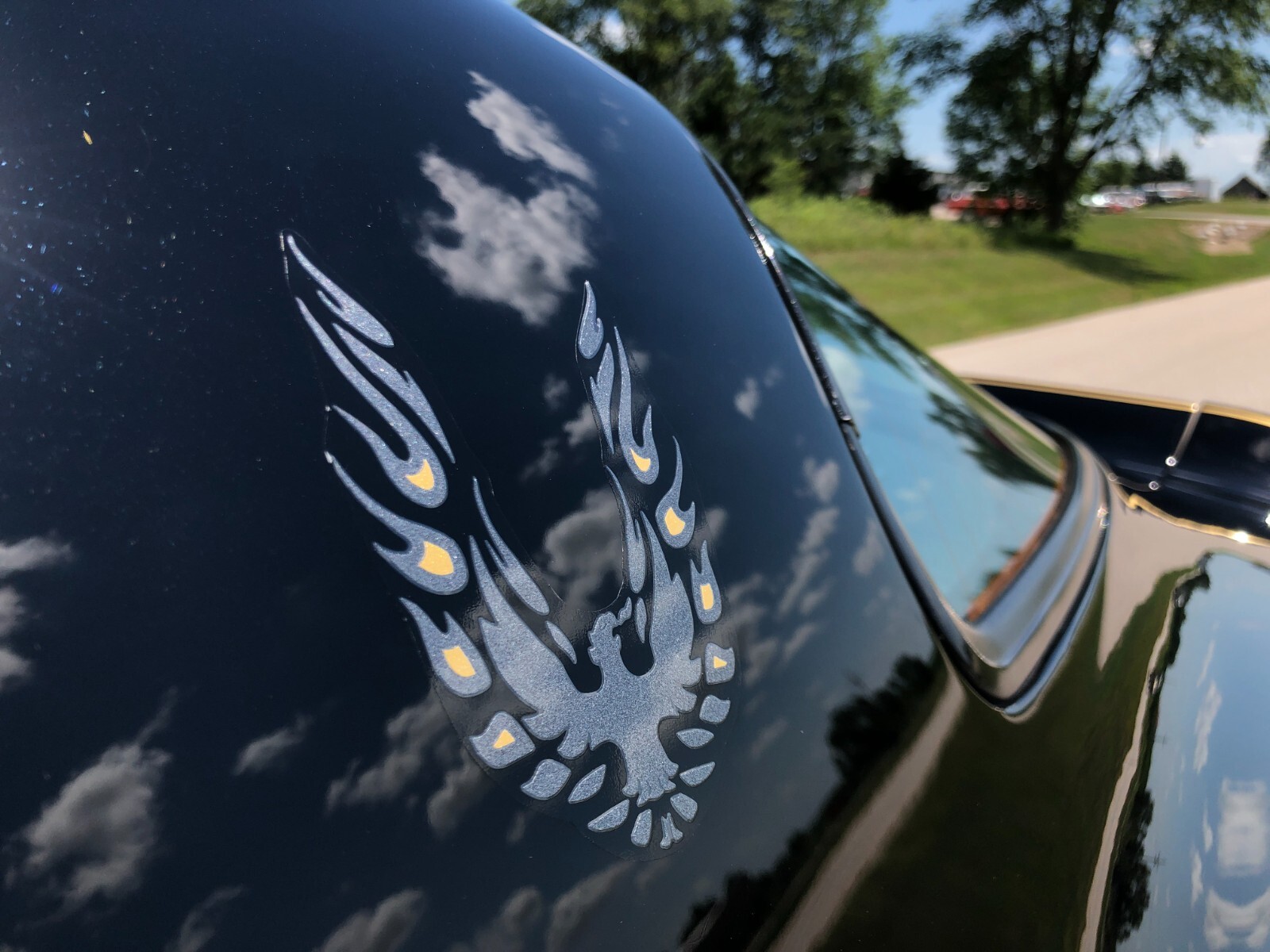 1970-2002 Pontiac Trans Am Pro-Touring Bird Decal Kit | eBay