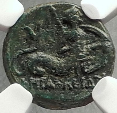 HERAKLEIA in LUCANIA Rare 3-1CenBC Ancient Greek Coin MERMAN Glaukos ...