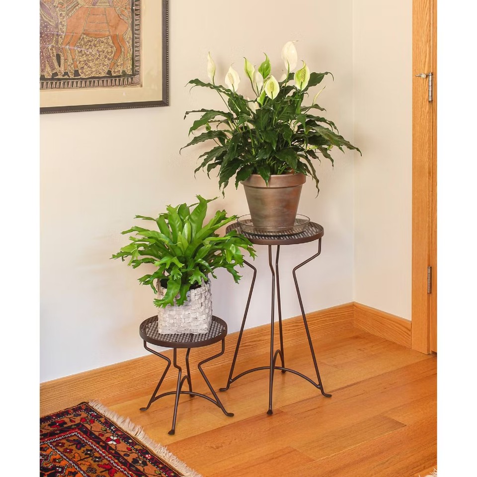 12.5" x 12" Roman Bronze Wrought Iron Capri Plant Stand Powder Coated ...