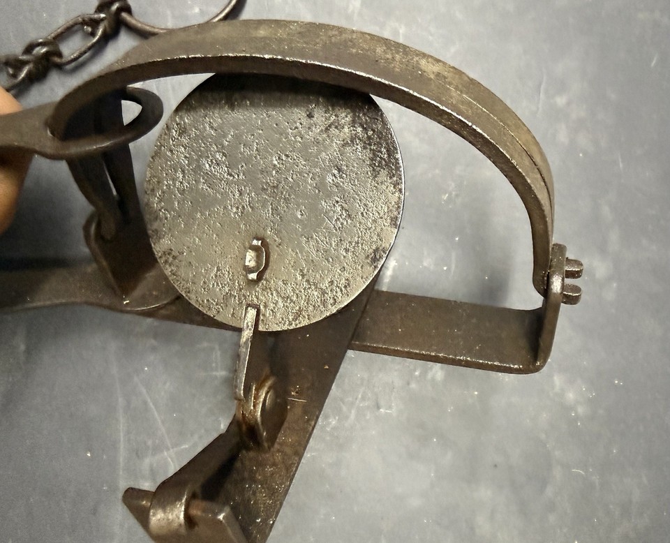 Vintage Blake & Lamb #2 1/2 Single Long Spring Trap, Victor , Newhouse ...