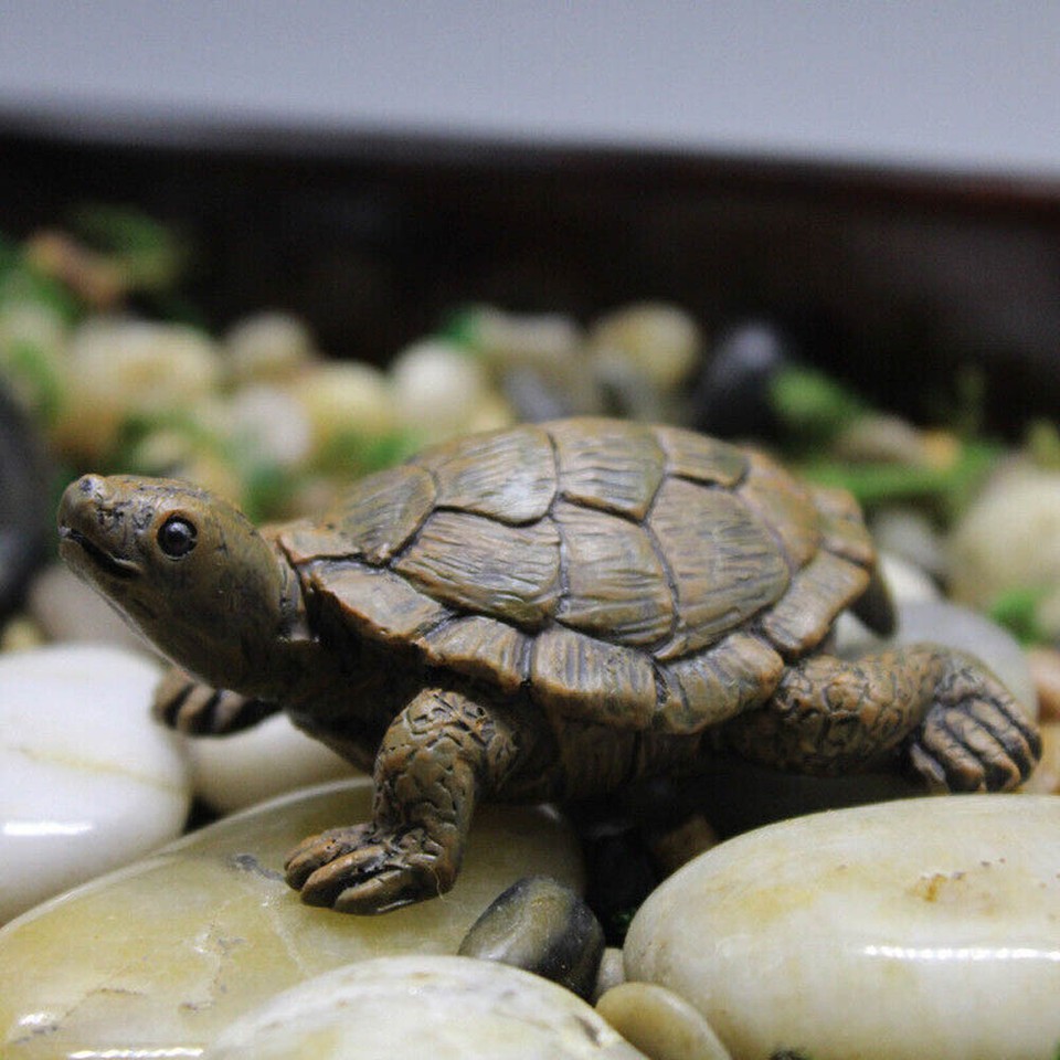2Pc Turtle Outdoor Statue Tortoise Garden Figurine Sculpture Ornament ...