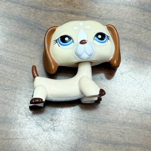 Littlest Pet Shop Dachshund Puppy Dog #1491 Brown & Cream w/Blue Eyes ...