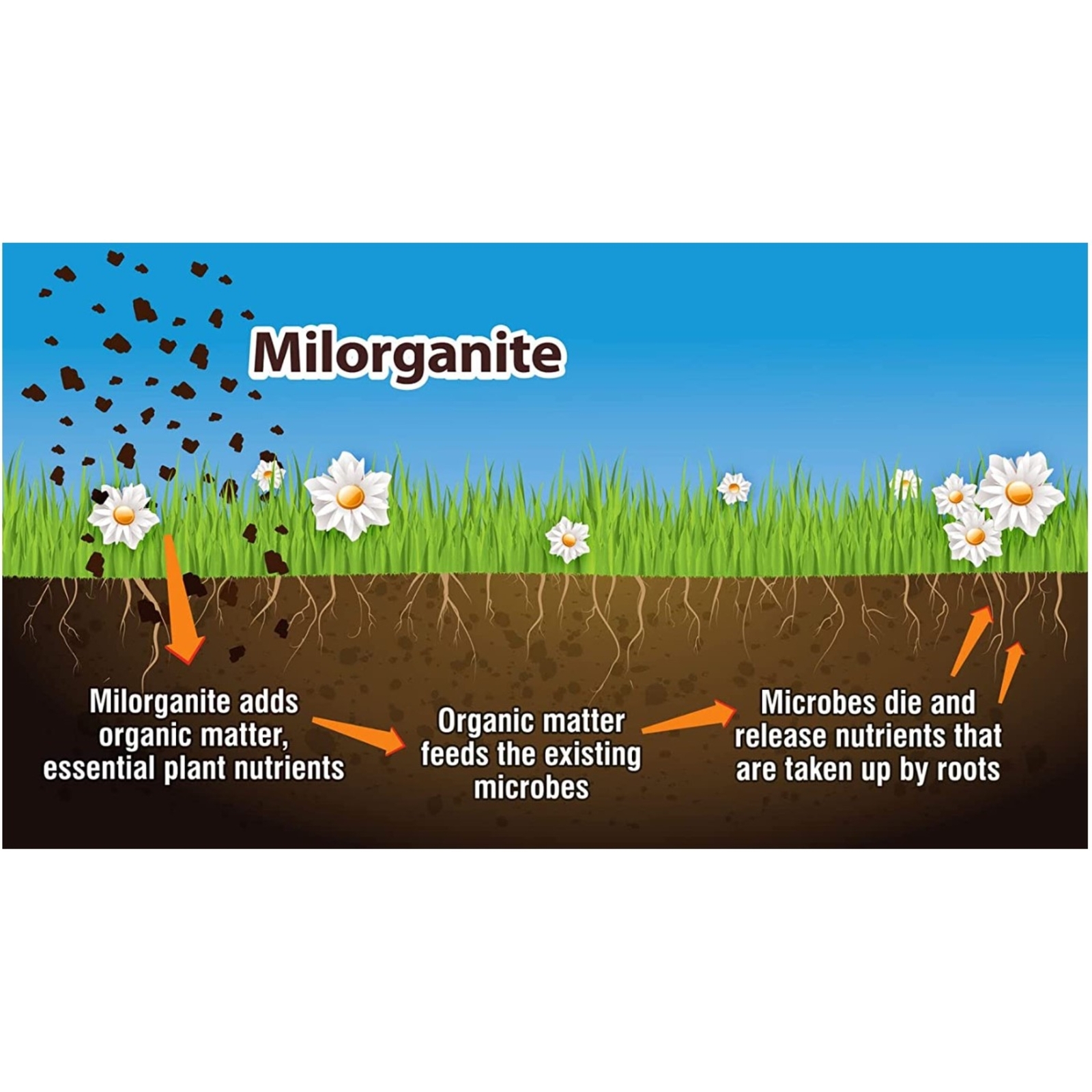 Milorganite Slow Release Nitrogen Lawn Fertilizer 6-4-0, 32 Pounds ...