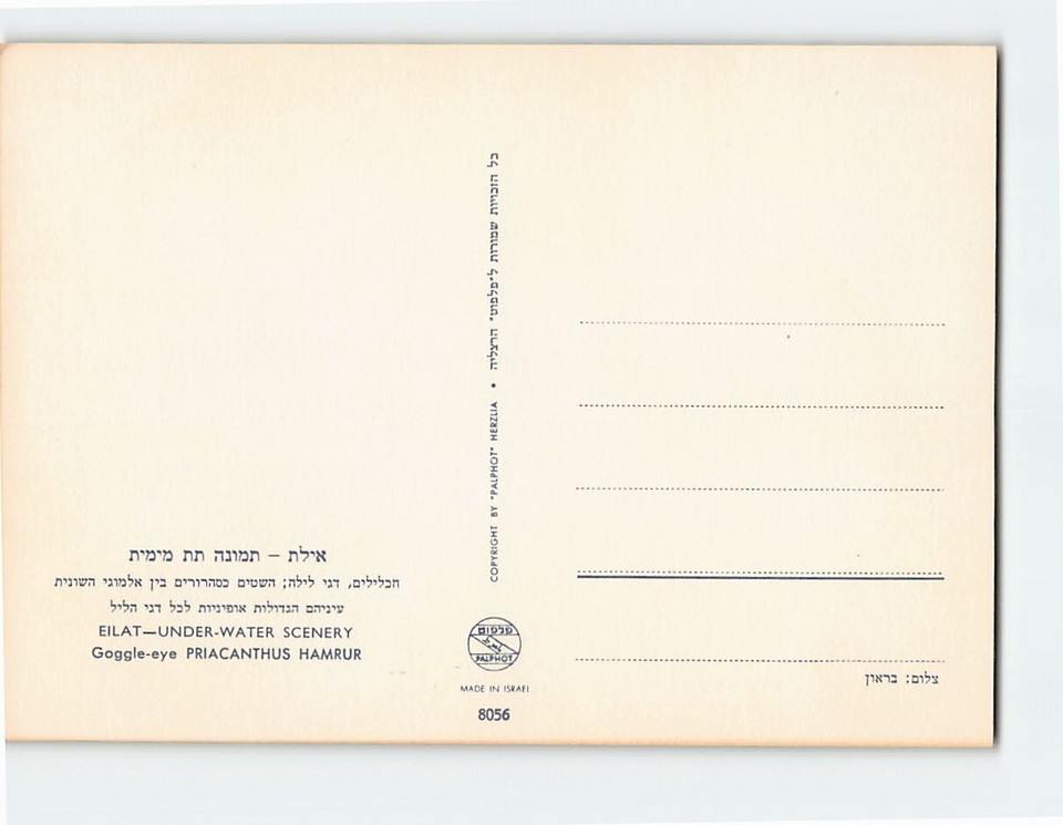 Postcard Goggle eye Pricanthus Hamrur Under Water Scenery Eilat Israel ...