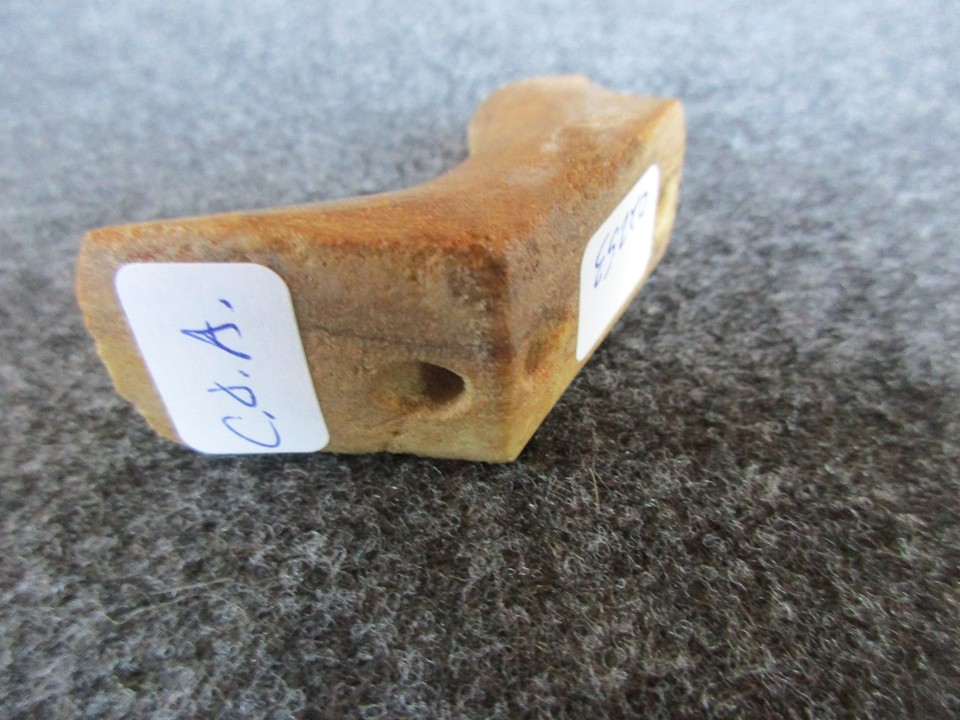 QUARTZ NATIVE AMERICAN BIRDSTONE, INDIAN BIRDSTONE WITH COA, #DAY-02253 ...