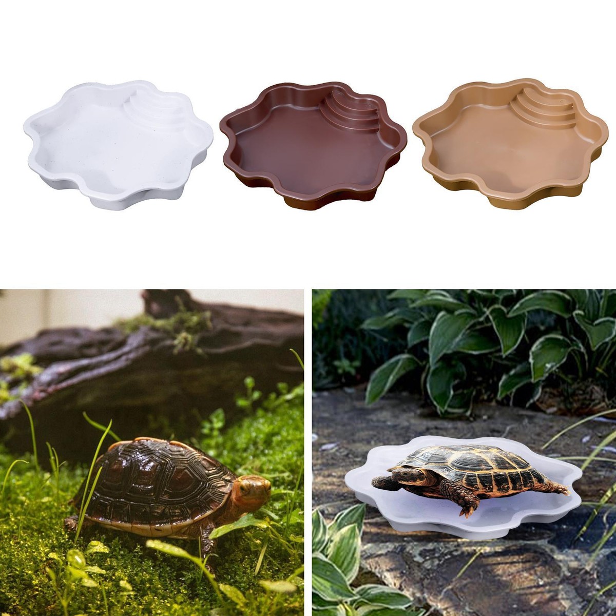 Pet Turtle Bowl Amazon.co.jp: Turtle Feeding Bowl, Turtle Reptile Food