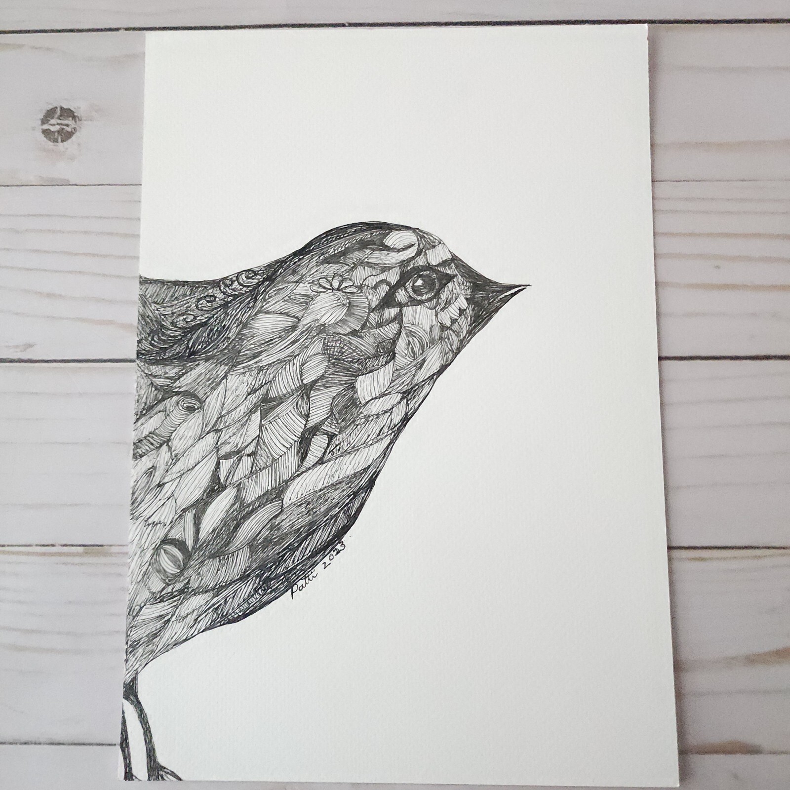 Abstract Black Pen Drawings