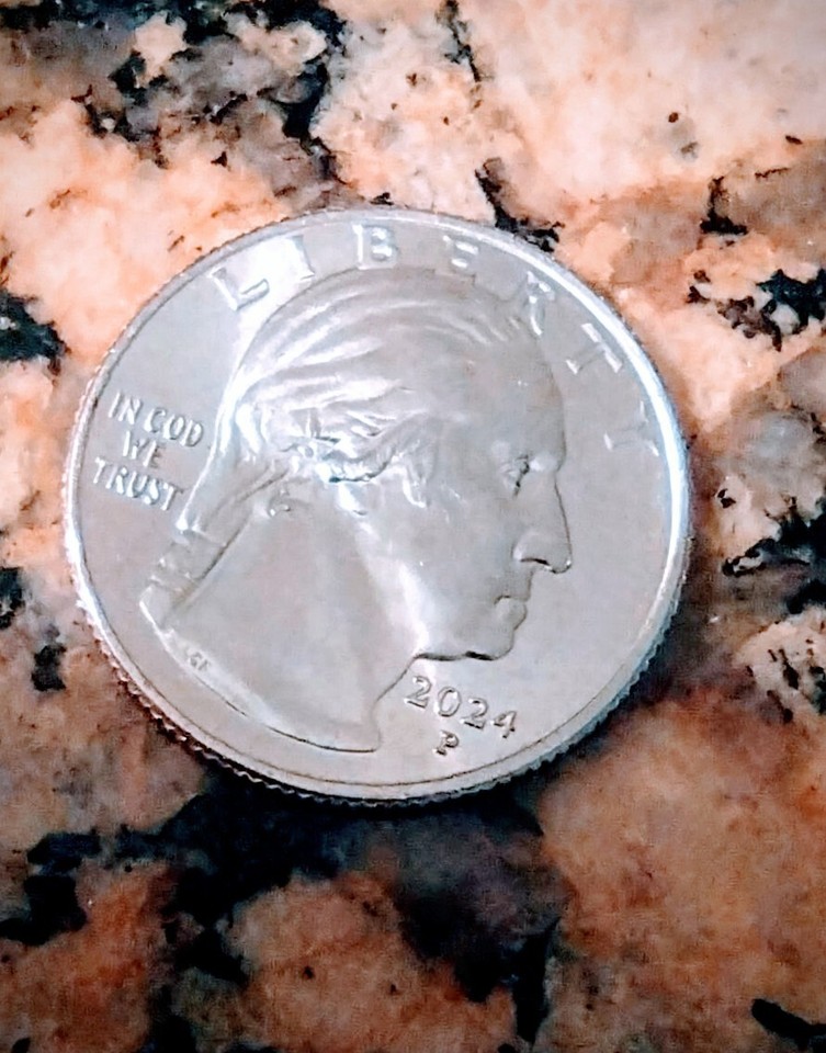 2024 P Pasty Takemoto Mink QUARTER ERROR die chip on forearm | eBay