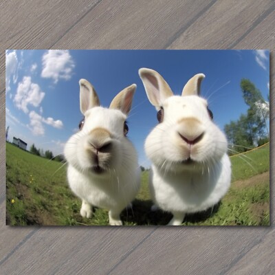 POSTCARD Fisheye Bunny Rabbits - Adorably Cute Perspective | eBay