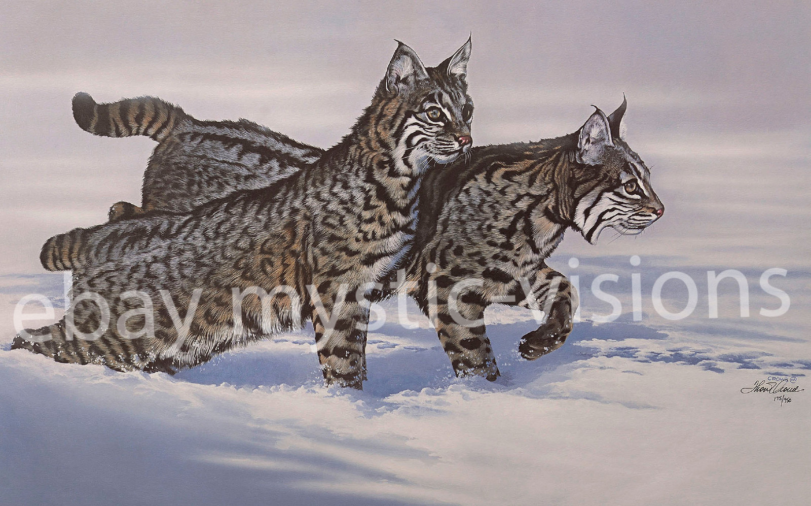 SNOW HUNTERS Phillip Crowe Signed & Numbered w/coa Lynx Cat Bobcat Art ...