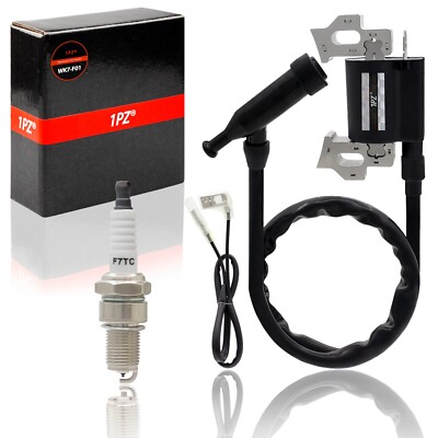 Ignition Coil & Spark Plug For Freight Predator 212cc 6.5hp Go Kart OHV ...