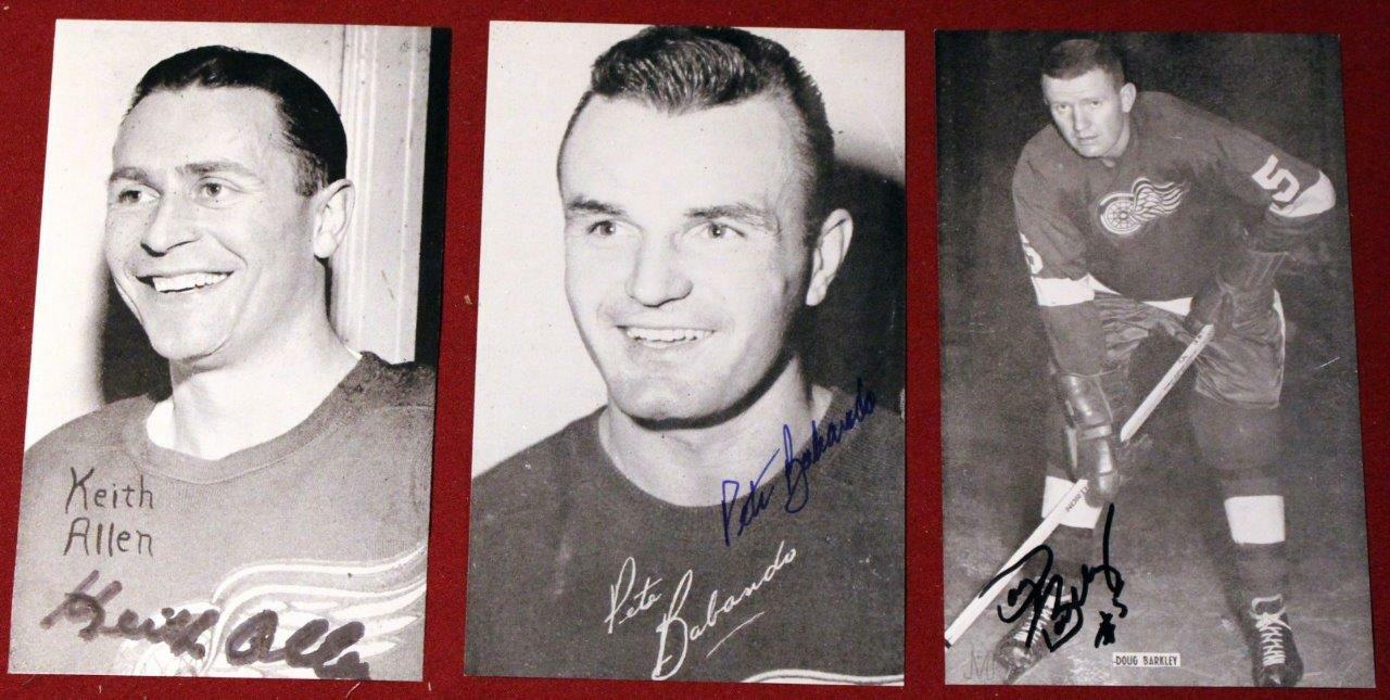 20 JD Mccarthy Signed Detroit Red Wings Postcards Gary Bergman Pete ...