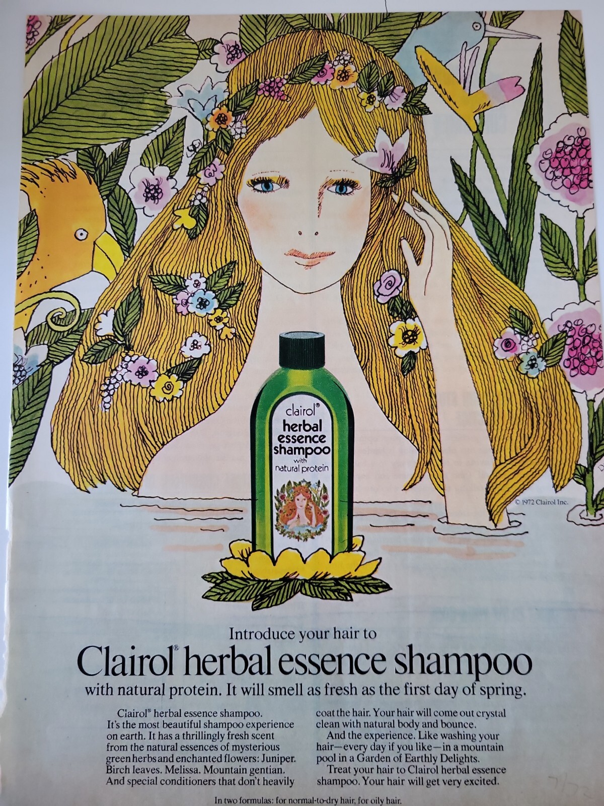Herbal Essence Shampoo Ads