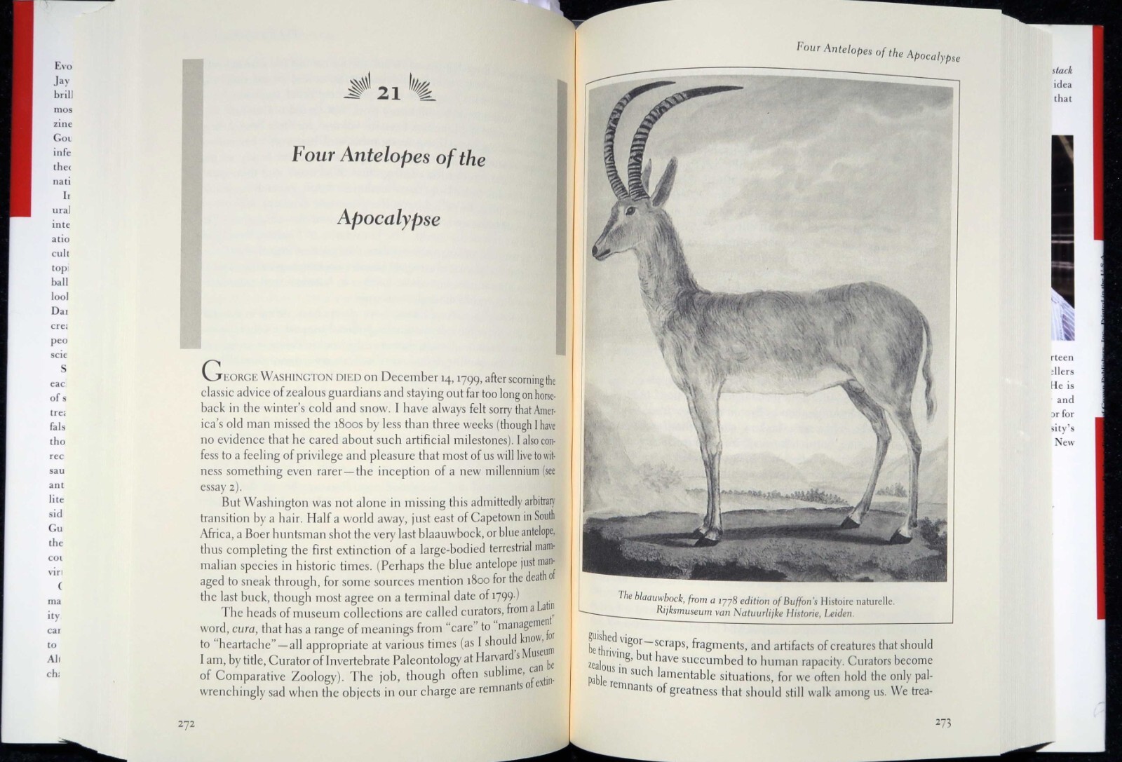 Stephen Jay Gould, SIGNED Dinosaur in a Haystack, 1st Ed., 1st Printing, 1995 | eBay