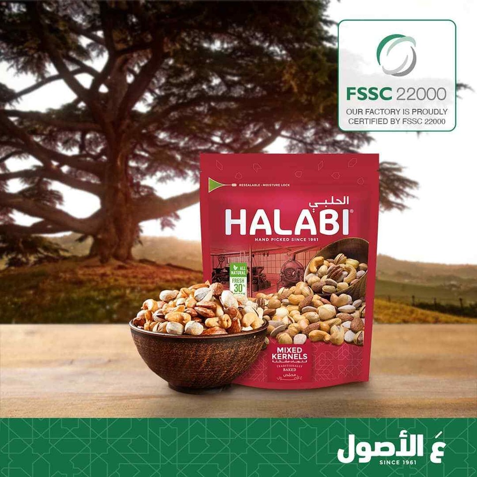 🇱🇧 Lebanese Al Halabi Mixed Nuts | Tasty Snacks | 250g Packs ...