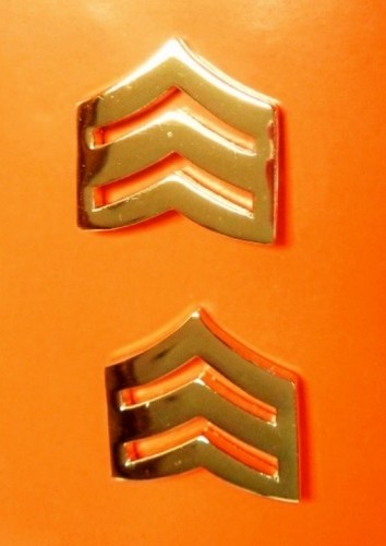 SGT Chevron Pin Set Police Gold Plated 3/4" Military Rank Insignia 304 ...