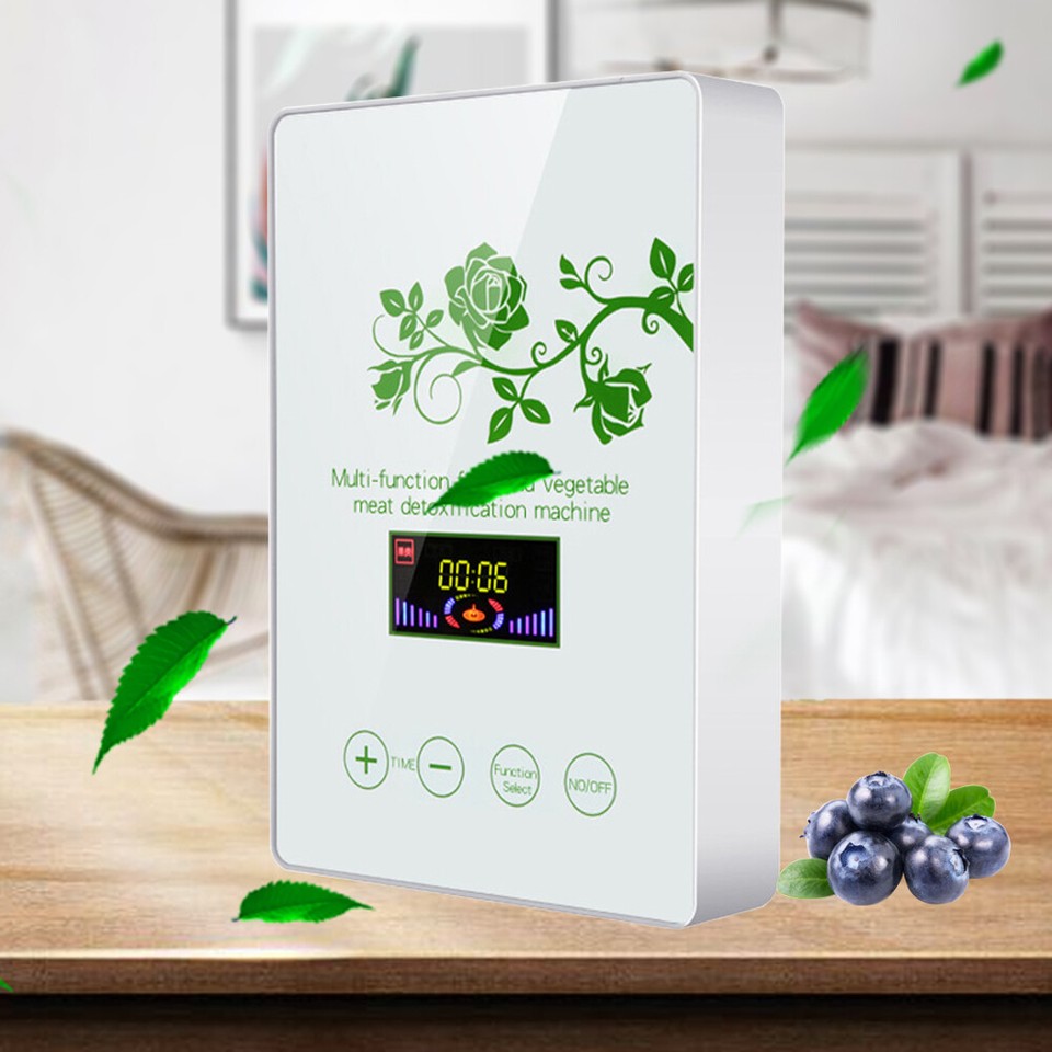 Food Vegetable Sterilizer Ozone Generator Ozonator Air Purifier Water 600mg/h | eBay