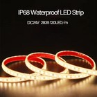 IP68 Waterproof LED Strip Light 2835 DC 24V Underwater Outdoor Flexible ...