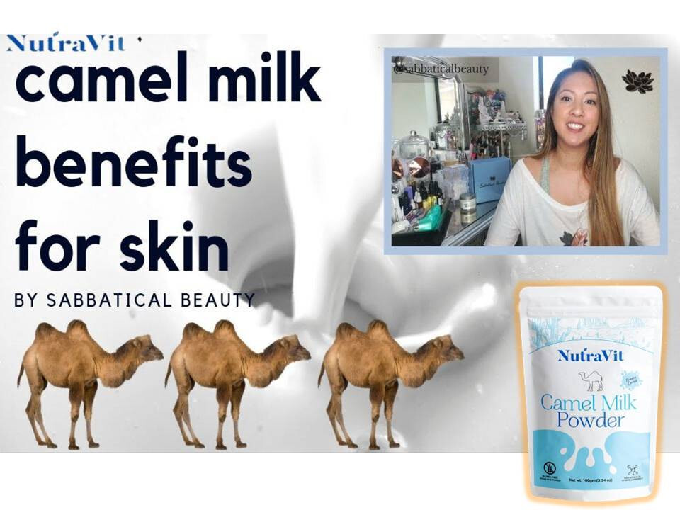 New Original NutraVit Pure High Protein & Calcium Camel Raw Strong Milk ...