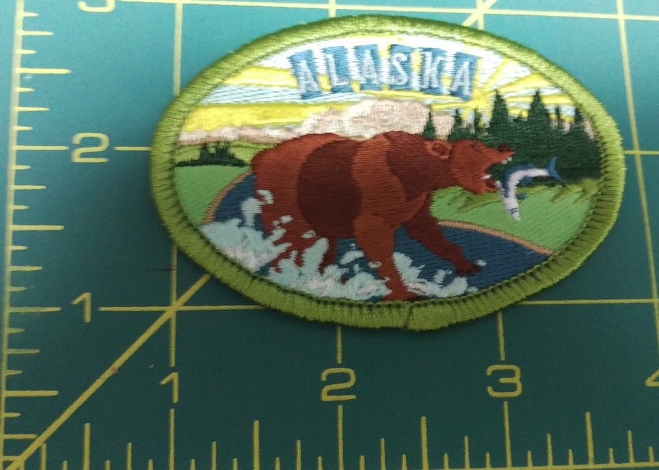 Embroidered Alaska Patch - Retro Brown Bear Iron On Patch - Grizzly ...