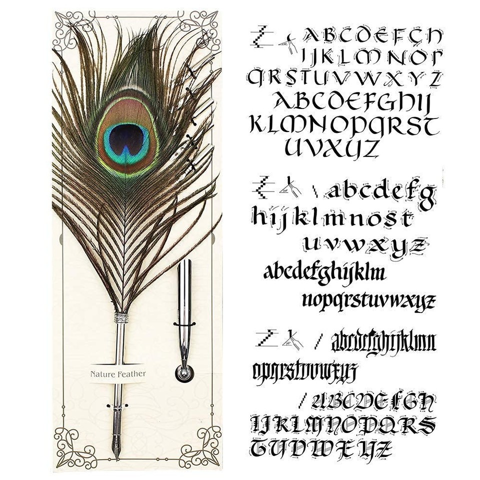 Peacock Feather Pen Set Antique Calligraphy Writing Quill Ink Dip Pen ...