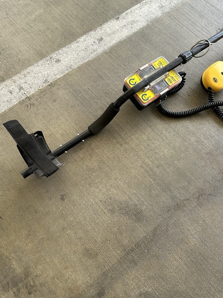 Whites Surf PI Pro Metal Detector | eBay