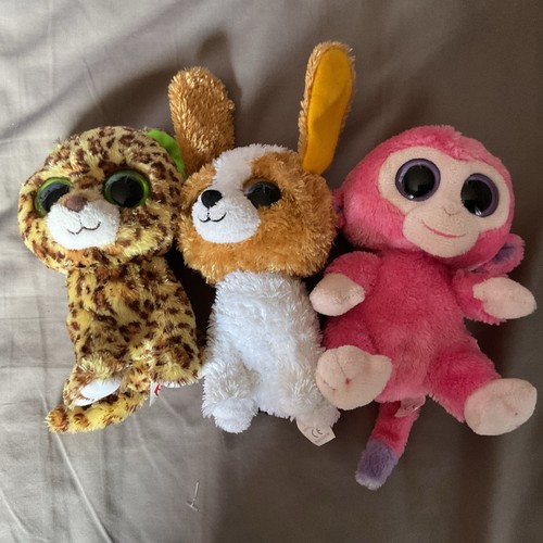 Ty Beanie Boo Bundle speckles cookie and Razberry | eBay UK