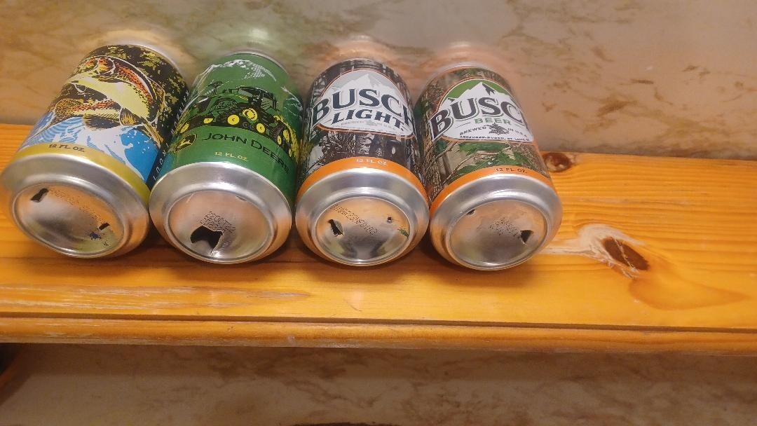16 Limited Edition Busch/Busch Light Empty Beer Cans Corn, Fall, Fish ...