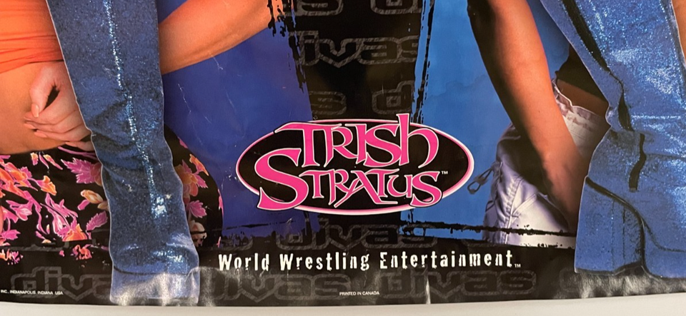 WWF Divas Wrestling Poster 2002 34 X 22 Stacy Keibler Torrie Wilson | eBay