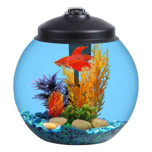 3-Gallon Fish Tank, Aquarium Starter Kit Includes Power Filter, LED ...