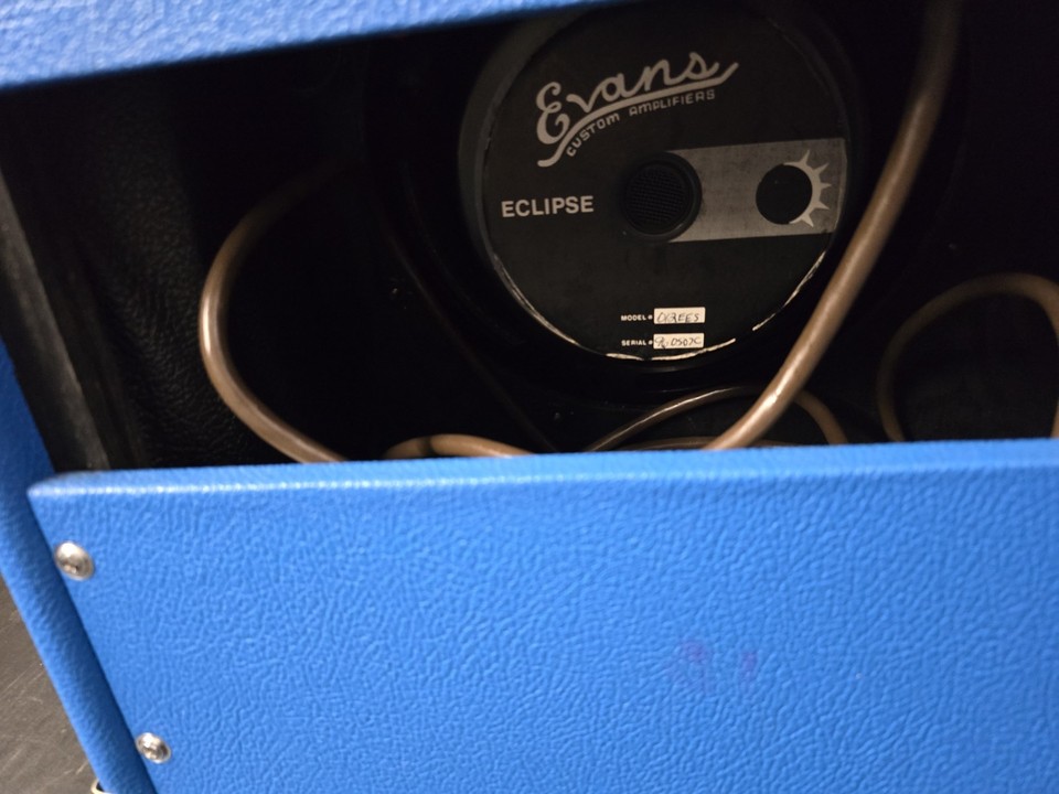 Evans Custom Amplifier Model 80 Made In U.S.A. | eBay