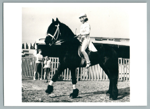 CIRQUE 1967 CILLY FEINDT SUR SON CHEVAL HANOVRE CIRCUS PHOTO VINTAGE ...