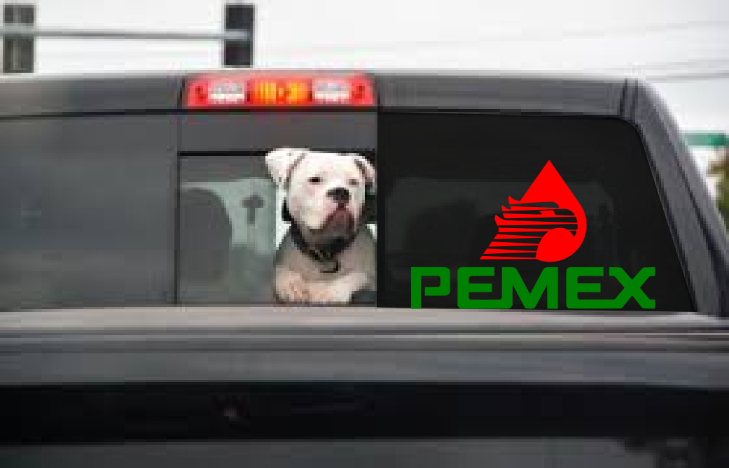 Pemex Sticker / Calcomania Mexicana Pemex 24"x14" & 13"x8" 9"x6" | eBay