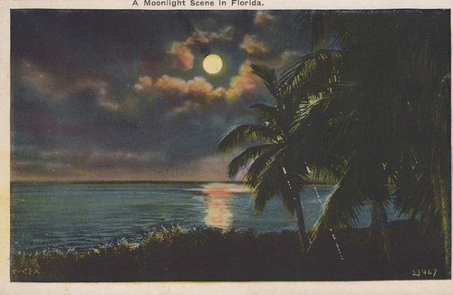 A Moonlight Scene In Florida Sea Side Ocean White Border Vintage Post ...