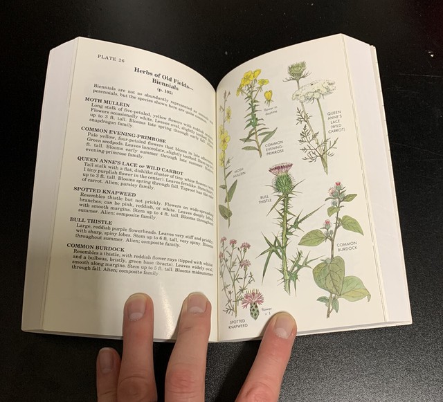 Peterson Field Guides: Peterson Field Guide to Ecology of Eastern ...