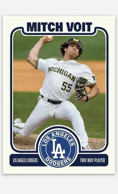 Mitch Voit 2025 MLB Draft Novelty Baseball Card! Los Angeles Dodgers | eBay