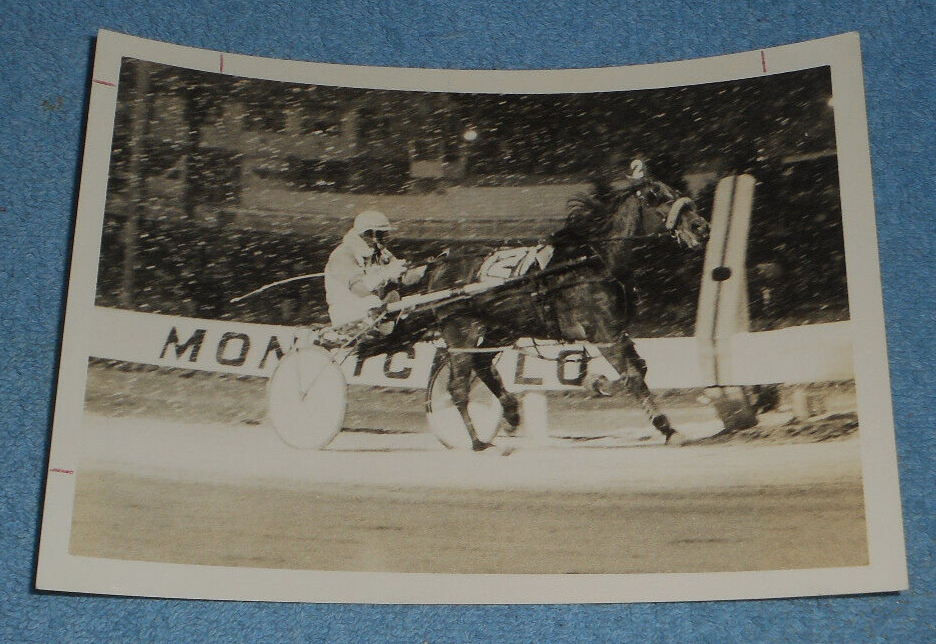 1973 Harness Racing Photo Horse "Valley Jim" Walter Warrington ...