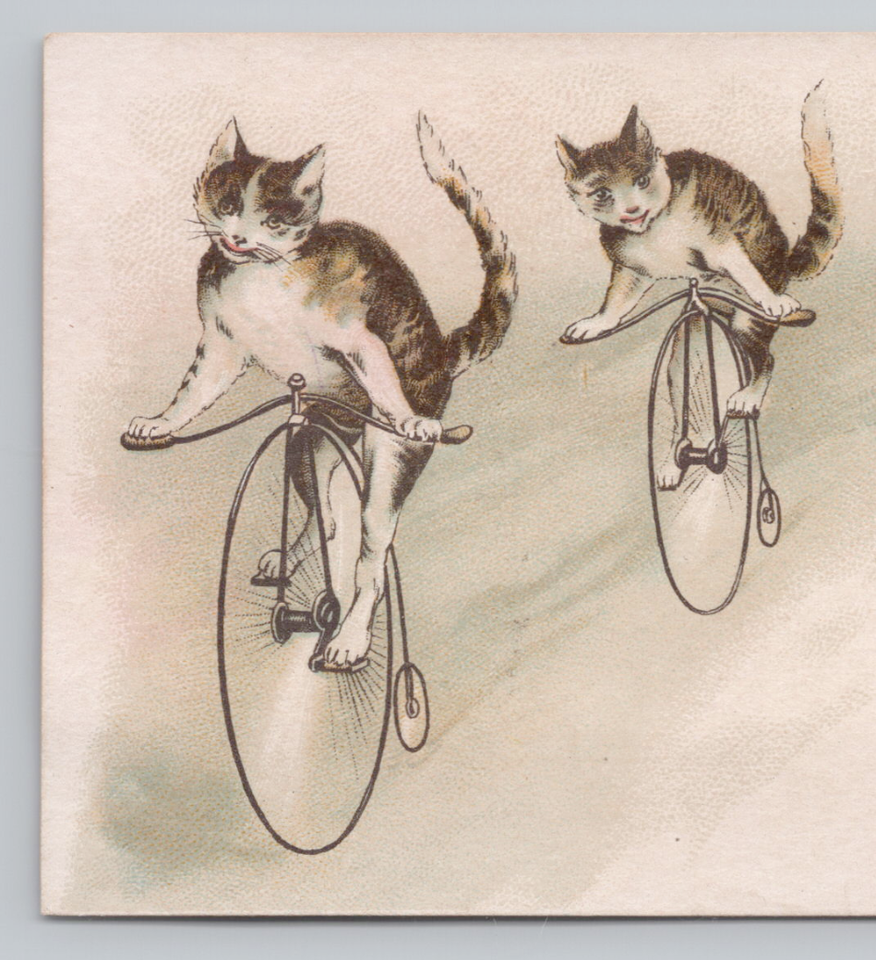 J & P Coats Thread Anthropomorphic Kitty Cat Rides High Wheeler Bike ...